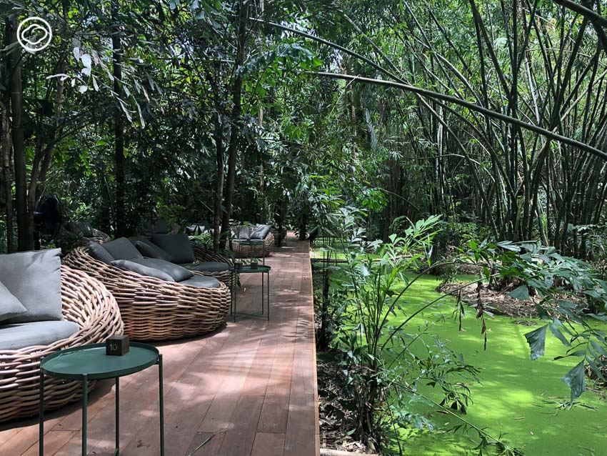 นั่งจิบชา ทานขนม กลางสวนไผ่ในท้องร่อง โซนใหม่ล่าสุดของ Little Tree ...