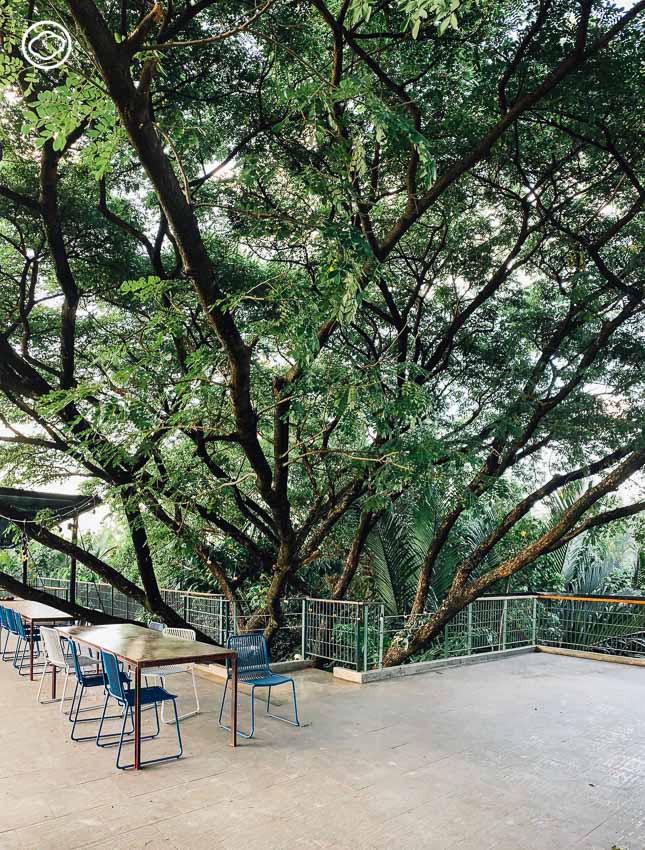 Hiddenwoods : พื้นที่อเนกประสงค์ในป่าลึกลับใจกลางปอดของกรุงเทพฯ