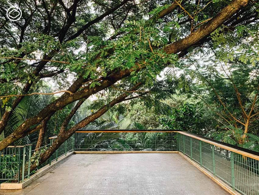 Hiddenwoods : พื้นที่อเนกประสงค์ในป่าลึกลับใจกลางปอดของกรุงเทพฯ