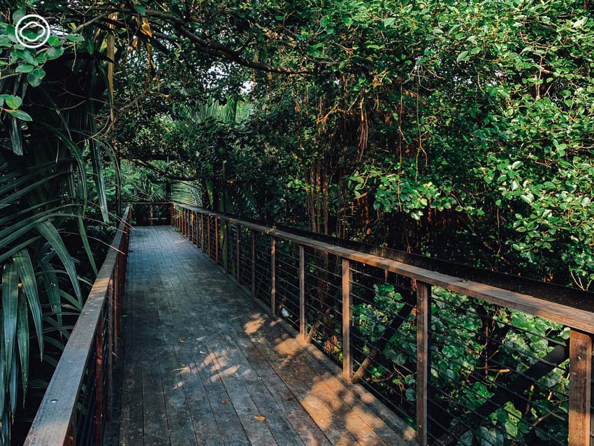 Hiddenwoods : พื้นที่อเนกประสงค์ในป่าลึกลับใจกลางปอดของกรุงเทพฯ