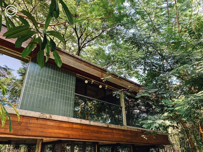 Hiddenwoods : พื้นที่อเนกประสงค์ในป่าลึกลับใจกลางปอดของกรุงเทพฯ