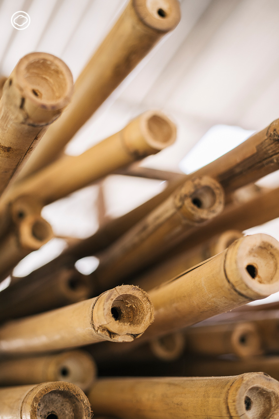 สวนลุงโชค โรงเรียนป่าไผ่ที่ใช้ภูมิปัญญาปลูกไผ่ร้อยพันธุ์เพื่อพลิกผืนดิน ...