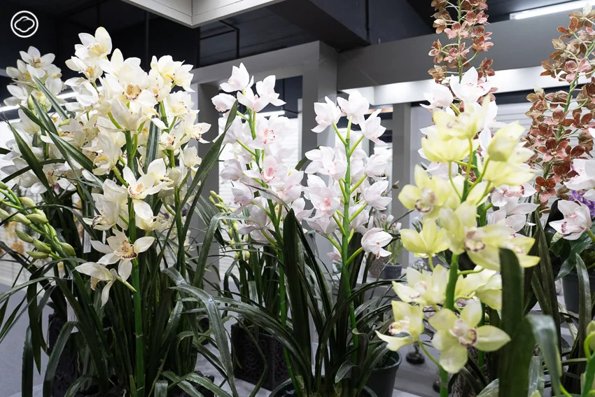 Permaflora แบรนด์ของวิศวกรผู้เชี่ยวชาญดอกไม้ประดิษฐ์ที่ส่งออกไปขายทั่วโลก - The Cloud