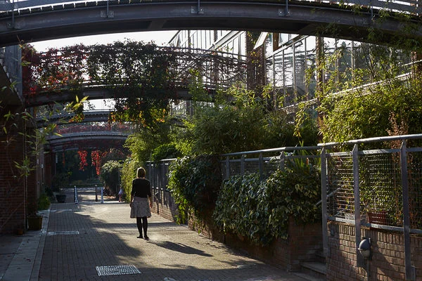 BedZED หมู่บ้านยั่งยืนแห่งแรกของอังกฤษ บ้านดีในทำเลดี ค่าน้ำ-ไฟถูกกว่า ที่ไม่ทำร้ายโลก - The Cloud