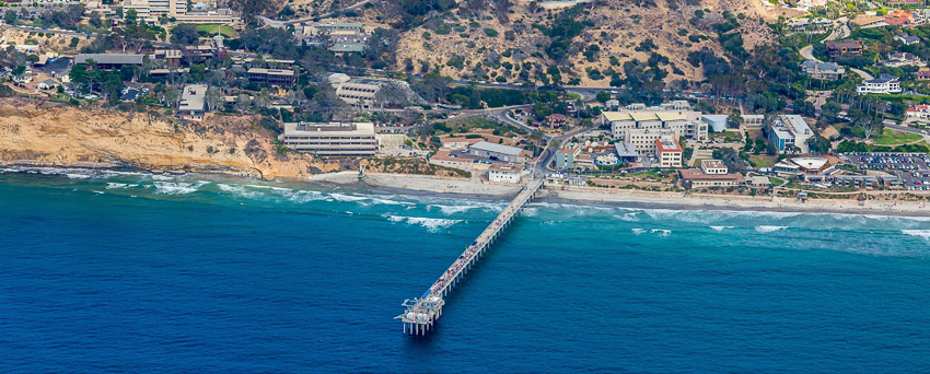 คุยกับผู้เก็บชิ้นส่วน Oarfish ปลาพญานาคในภาพถ่ายดัง 24 ปีก่อนและยังดูแล ...