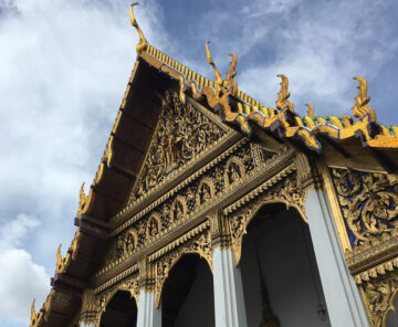 คุยกับผู้เก็บชิ้นส่วน Oarfish ปลาพญานาคในภาพถ่ายดัง 24 ปีก่อนและยังดูแล ...