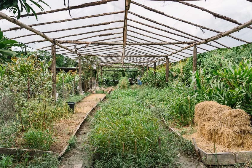 Get Growing Community Farm สนามเด็กเล่นกลางบางกะเจ้า ที่ให้เด็กเลอะโคลน ...