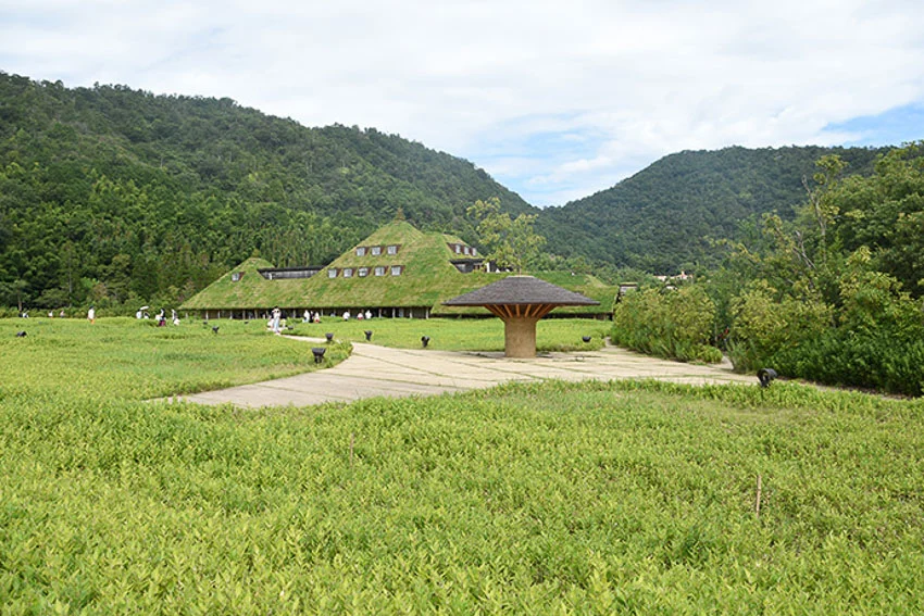 เทคนิคของ Taneya ร้านขนมที่ปรับรสชาติตลอด 148 ปี แต่ลูกค้าไม่เคยรู้สึก ...