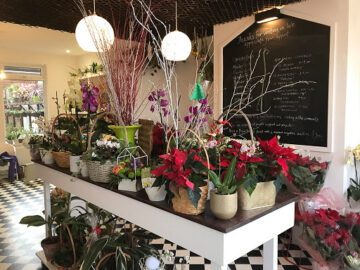 The Flower Bank ร้านดอกไม้ราคาเป็นมิตร ใช้ดอกไม้เหลือทิ้ง และมีเด็กเคย ...