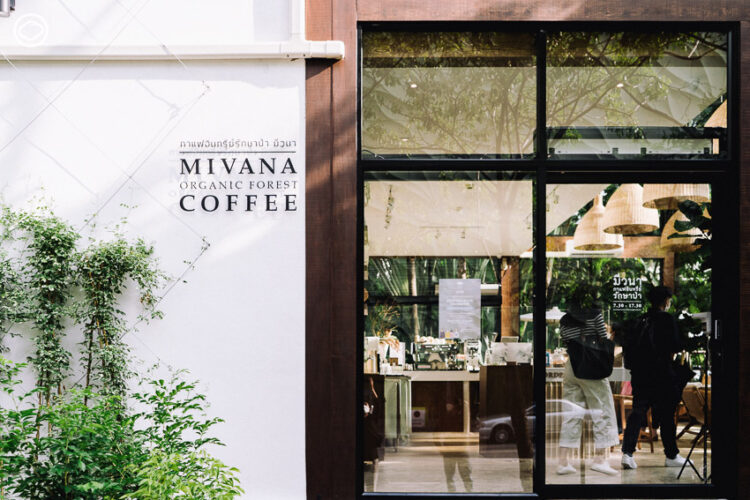 MiVana กาแฟอินทรีย์รักษ์ป่าที่เปิด Flagship Store เพื่อให้คนและป่า ...