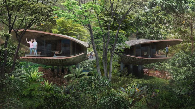 Mandai Project เมืองสวนสัตว์โฉมใหม่ ที่เสกสิงคโปร์ให้กลายเป็นดินแดนสีเขียว