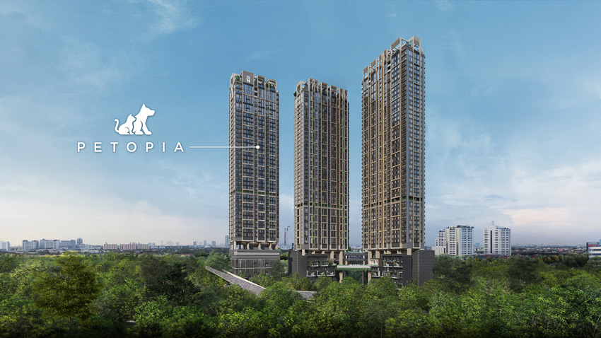 Petopia คอนโดที่ออกแบบเพื่อเลี้ยงสัตว์อย่างสบายใจ ให้อยู่ดี ปลอดภัย และ ...