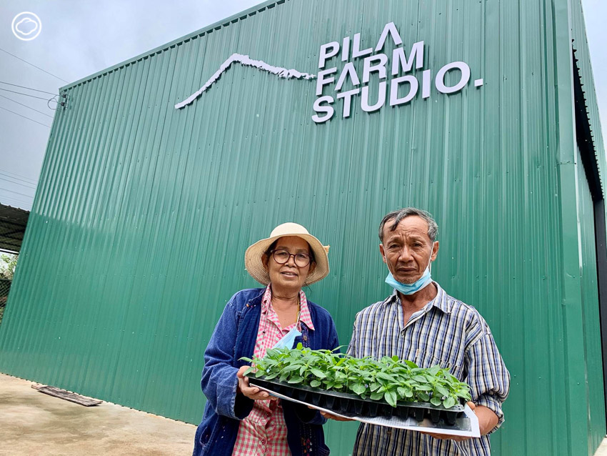 PILA Farm Studio เปลี่ยนแบรนด์แฟชั่นเป็นแบรนด์สินค้าเกษตรเพชรบูรณ์ให้บ้านเกิดขายได้