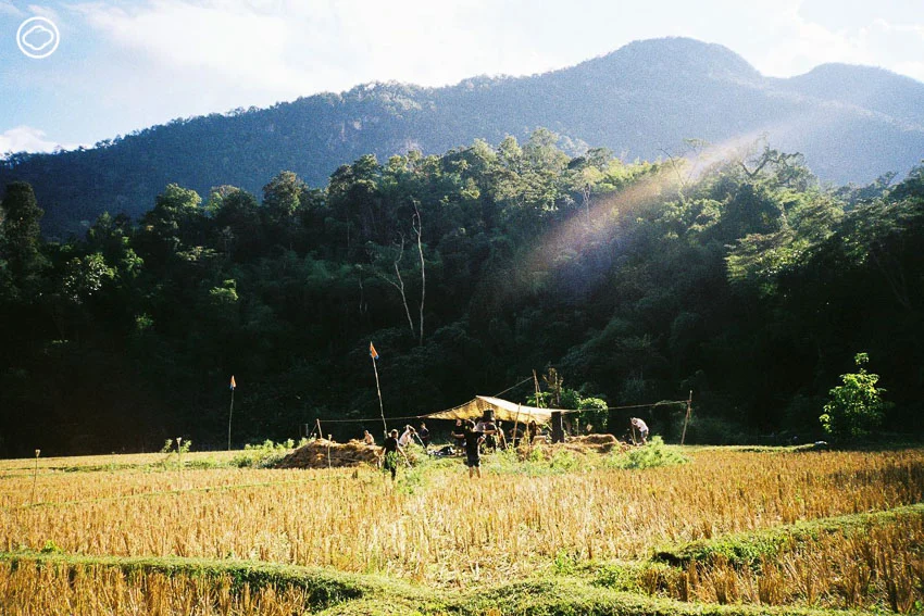 Dek Doi ลูกครึ่งไทย-อังกฤษที่รักษาวิถีบ้านนอกในเชียงดาวด้วยปาร์ตี้ ...