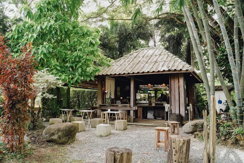 จากคาเฟ่ถึง 'น่านเฟส' (NAN FEST) จ.น่าน เมืองที่ไม่มีห้างดังและมหาลัยขนาดใหญ่