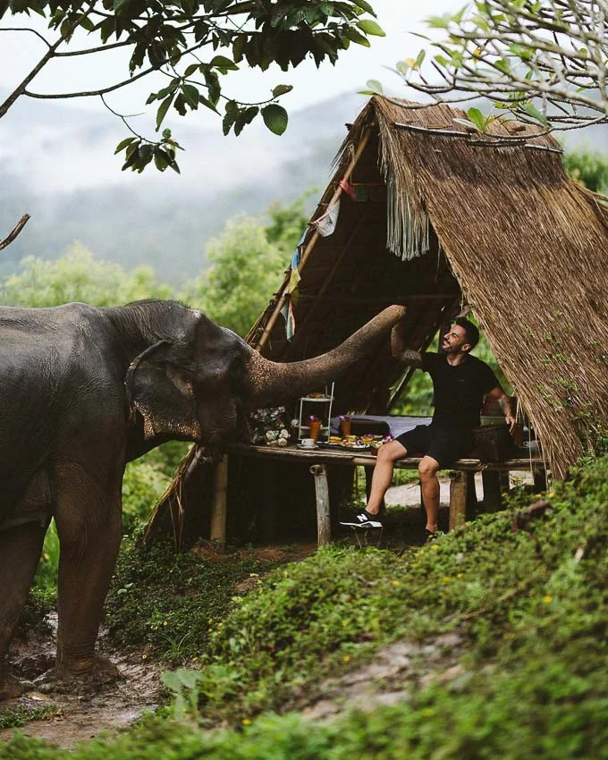 ไฉไล ออร์คิด ที่พักและทัวร์ระดับโลกโดยสาวชาวดอยเชียงใหม่สร้างรายได้แก้ ...