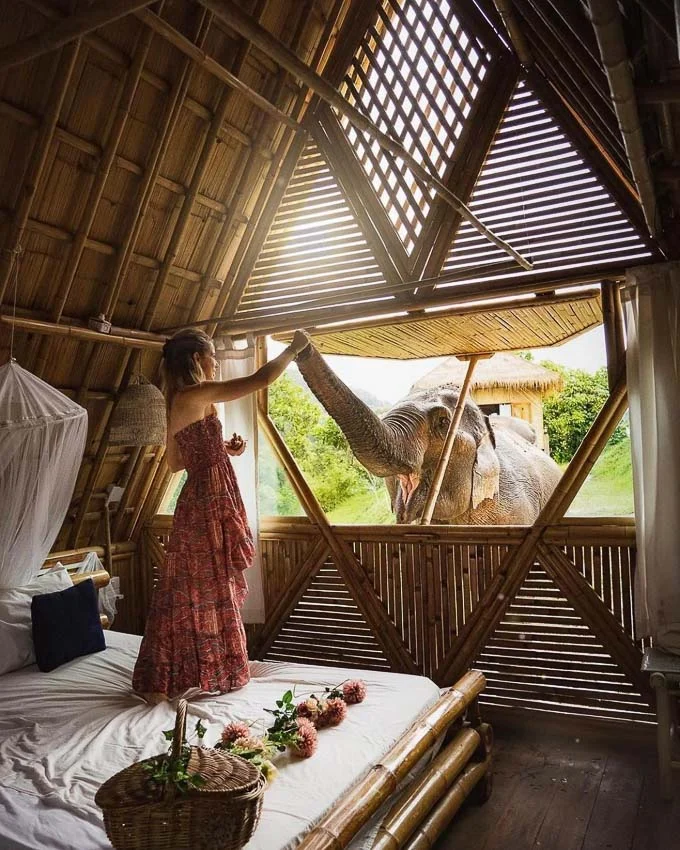 ไฉไล ออร์คิด ที่พักและทัวร์ระดับโลกโดยสาวชาวดอยเชียงใหม่สร้างรายได้แก้ ...