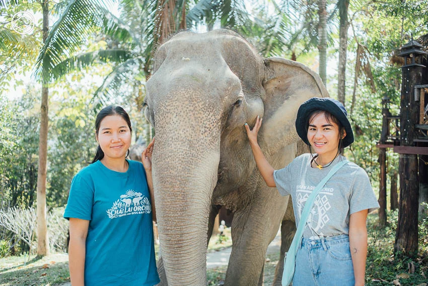 ไฉไล ออร์คิด ที่พักและทัวร์ระดับโลกโดยสาวชาวดอยเชียงใหม่สร้างรายได้แก้ ...