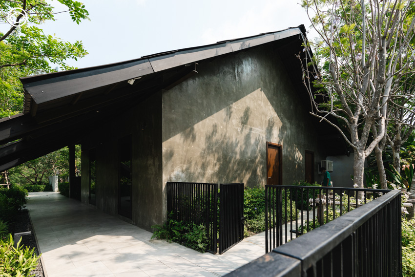 DOX House บ้าน-วิมานของหมา 8 ตัวที่ปลูกแบบให้เจ้าตูบอยู่สบาย และได้ ...