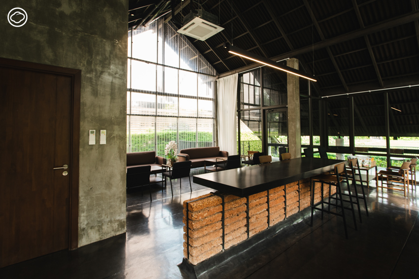 DOX House บ้าน-วิมานของหมา 8 ตัวที่ปลูกแบบให้เจ้าตูบอยู่สบาย และได้ ...