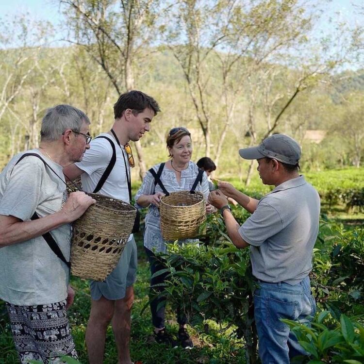 Lisu Lodge ที่พักวิถีท้องถิ่น อ.แม่แตง บริหารโดยชุมชนลีซู สร้างงานและ ...