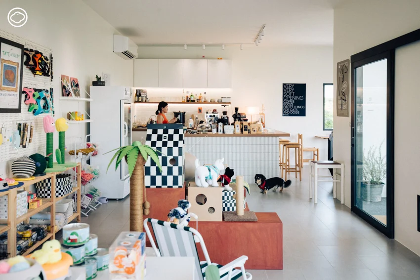 Pet Shop Bar บาร์ของคนรักกาแฟ และเพ็ตช็อปย่านลาซาลที่ตั้งใจเชื่อมโลกของ ...