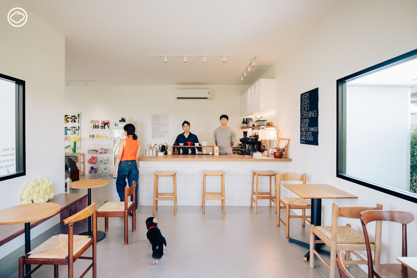 Pet Shop Bar บาร์ของคนรักกาแฟ และเพ็ตช็อปย่านลาซาลที่ตั้งใจเชื่อมโลกของ ...