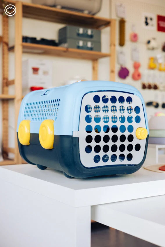 Pet Shop Bar บาร์ของคนรักกาแฟ และเพ็ตช็อปย่านลาซาลที่ตั้งใจเชื่อมโลกของ ...