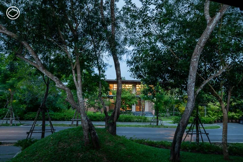 ฟื้นที่ดินในภูเก็ตเป็น ‘ตรีวนันดา’ หมู่บ้านอาบป่า เยียวยาด้วยน้ำและ ...