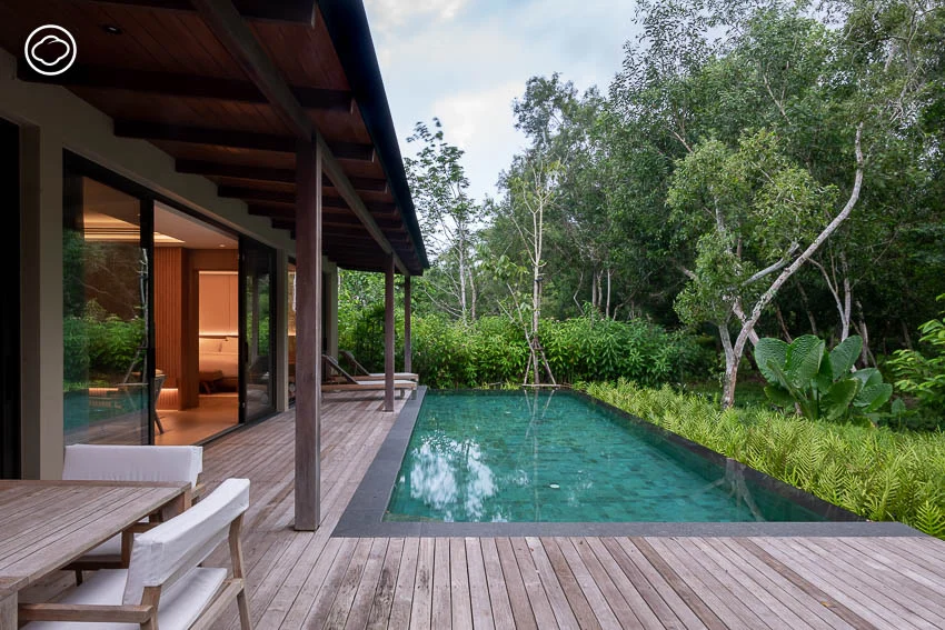 ฟื้นที่ดินในภูเก็ตเป็น ‘ตรีวนันดา’ หมู่บ้านอาบป่า เยียวยาด้วยน้ำและ ...