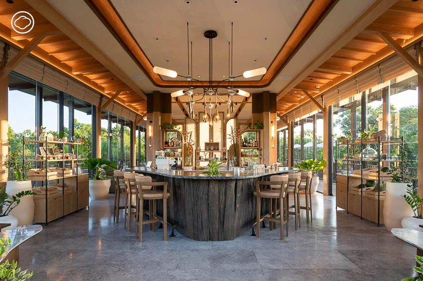 ฟื้นที่ดินในภูเก็ตเป็น ‘ตรีวนันดา’ หมู่บ้านอาบป่า เยียวยาด้วยน้ำและแพทย์ทางเลือก