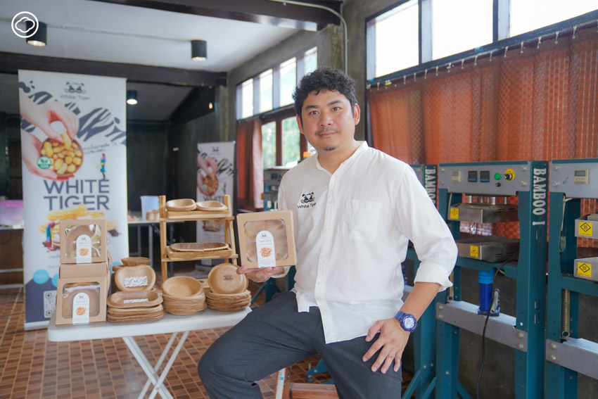 White Tiger นม Plant Based จากถั่วลายเสือแม่ฮ่องสอน ยกระดับถั่วคั่วไทย ...