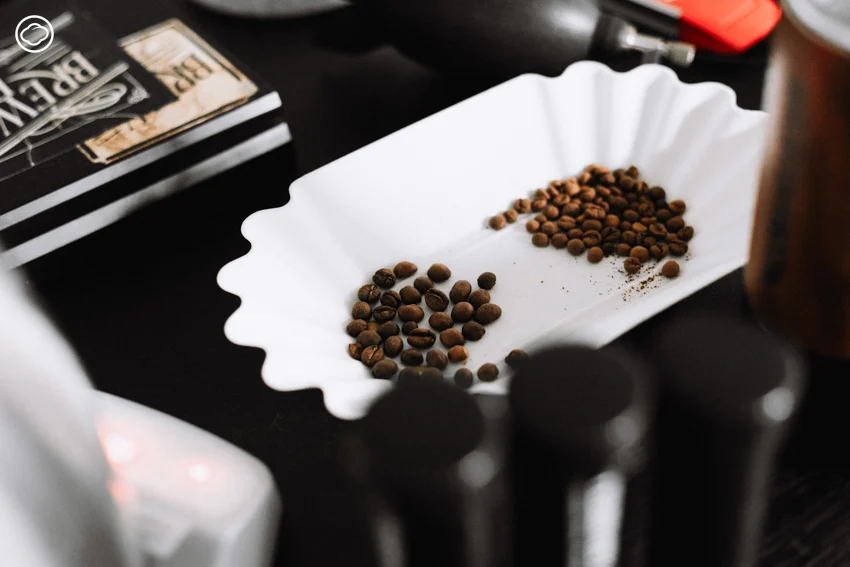 Brew Boy ลมใต้ปีกแชมป์บาริสต้า นักล่ากาแฟผู้เชื่อว่าวงการจะพัฒนาต้องไม่หวงความรู้