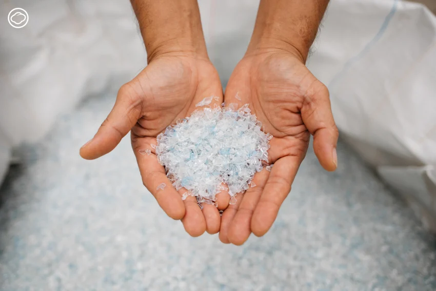 Thai Plastic Recycle Group ผู้นำวงการรีไซเคิลในไทย กับเป้าหมายสูงสุดสู่ ...