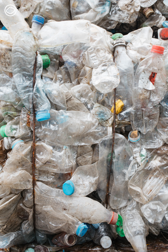 Thai Plastic Recycle Group ผู้นำวงการรีไซเคิลในไทย กับเป้าหมายสูงสุดสู่ ...