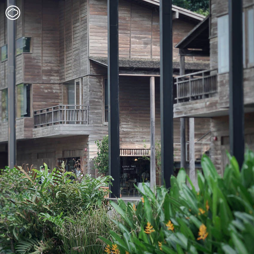 Little Tree Grocery คาเฟ่ใต้ The Artist Residency บ้านไม้สุดสวยใน ม. ...