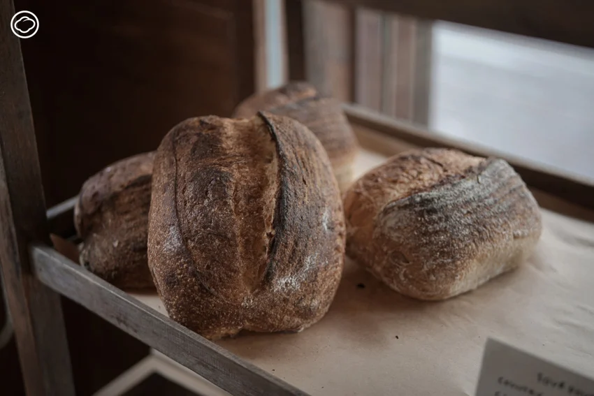 Little Tree Grocery คาเฟ่ใต้ The Artist Residency บ้านไม้สุดสวยใน ม. ...