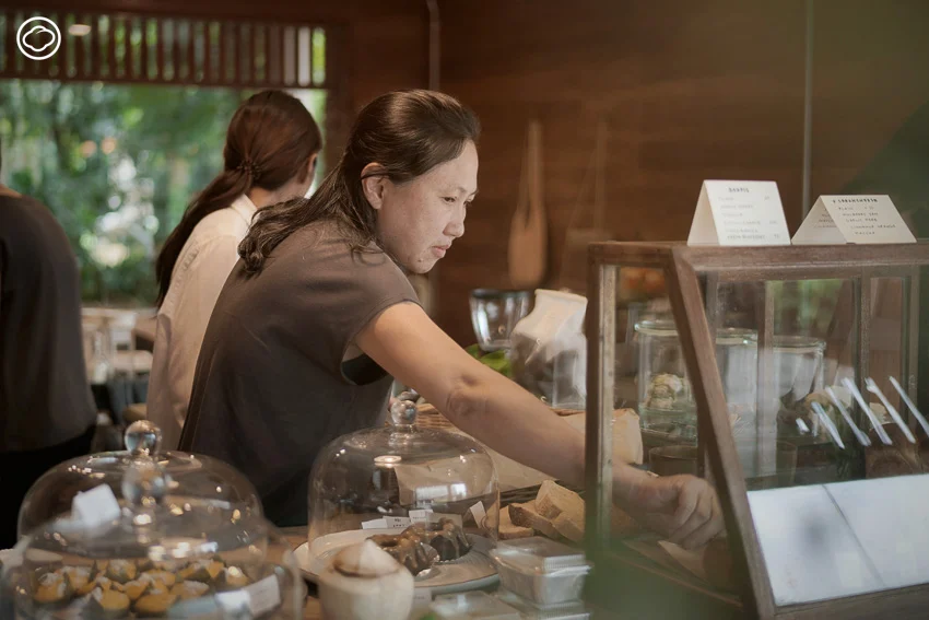 Little Tree Grocery คาเฟ่ใต้ The Artist Residency บ้านไม้สุดสวยใน ม. ...