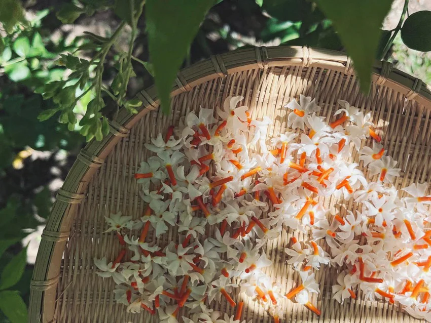 15 ร้านสุดคราฟต์และ 5 เวิร์กช็อปฮีลกายใจจากตลาด Little Tree Market สุด ...