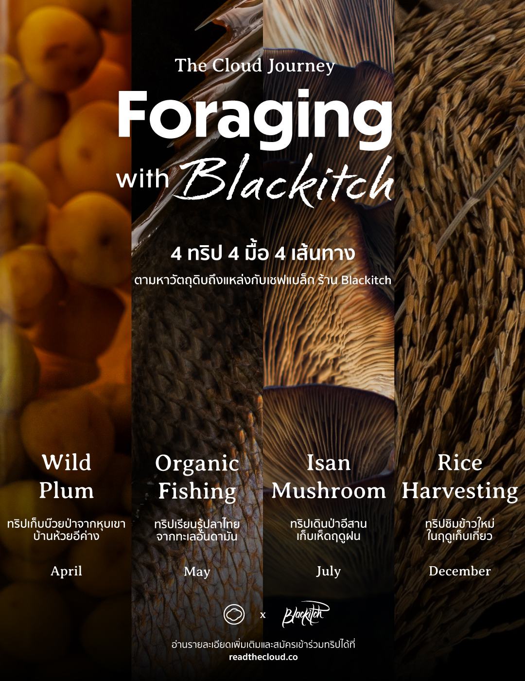The Cloud Journey : Foraging with Blackitch 04 - Rice Harvesting
