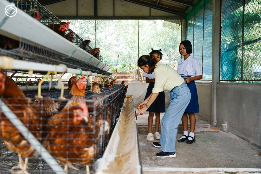 Help Without Frontiers มูลนิธิที่สนับสนุนการศึกษาเด็กเมียนมากว่า 2,300 ...