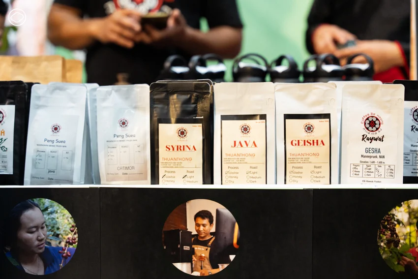 สรุปเทรนด์กาแฟที่เปลี่ยนไปจากเสวนาใน Thailand Coffee Fest 2024 ที่คนทำ ...