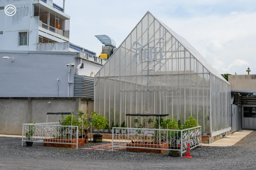 สินธุ์ ร้าน Fine Dining ยั่งยืน ลดขยะอาหาร ยกระดับหอยนางรมและของดี ...