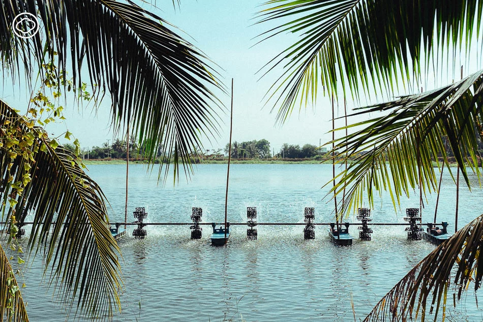 Manit Group ฟาร์มปลานิลครบวงจร-ยั่งยืน ผู้สร้างความเป็นไปได้ใหม่ให้การ ...