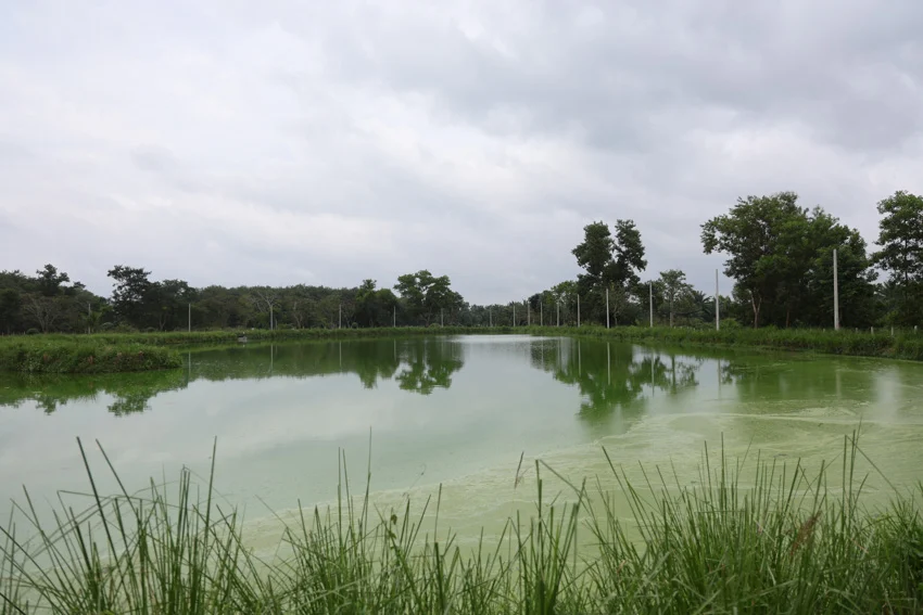 พลตรี พัชร รัตตกุล จากทหารสู่ผู้บริหารหาดทิพย์ ให้ธุรกิจช่วยเหลือเพื่อน ...