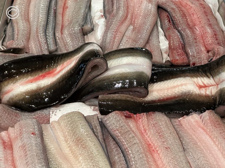 Kenichi Okada จากช่างก่อสร้างสู่เทพนักย่างปลาไหล ด้วยวิถีที่เชื่อว่าความสมบูรณ์แบบไม่มีจริง