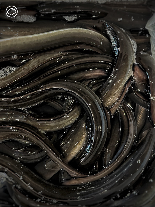 Kenichi Okada จากช่างก่อสร้างสู่เทพนักย่างปลาไหล ด้วยวิถีที่เชื่อว่าความสมบูรณ์แบบไม่มีจริง